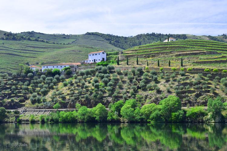 “Coast, Wind & Water” with featured artists Christine Reilly and Ed ...