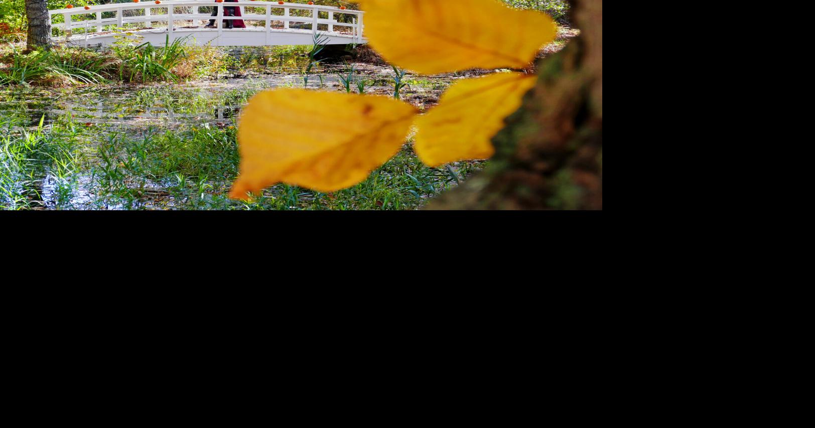 PHOTOS: Keeper of the bridge on Watch Hill Road | Westerly ...