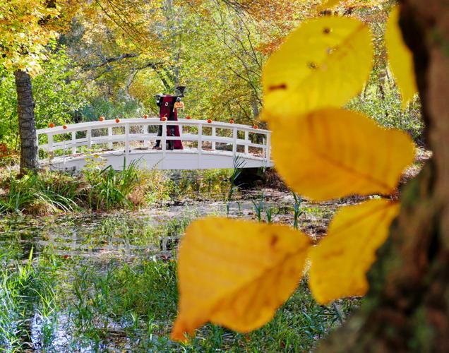 PHOTOS: Keeper of the bridge on Watch Hill Road | Westerly ...