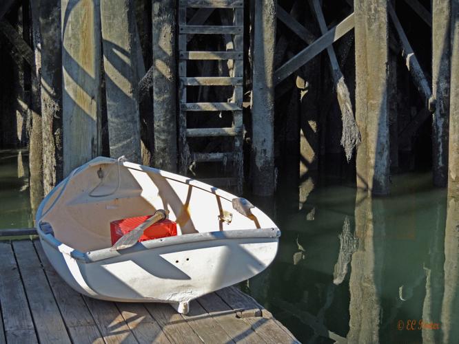 “Coast, Wind & Water” with featured artists Christine Reilly and Ed ...