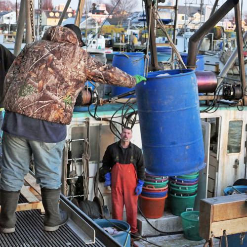 PHOTOS: Unloading the catch | Stonington | thewesterlysun.com