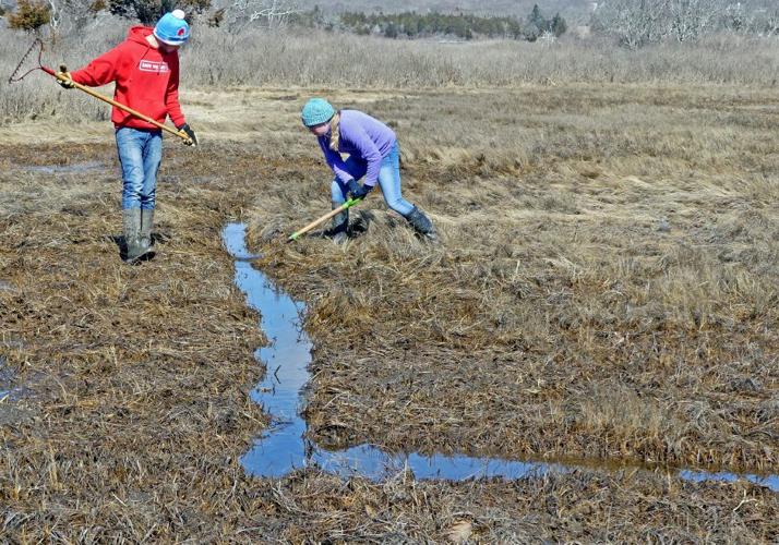 PHOTOS: Save the Bay workers clear marsh drainage channels in Westerly ...