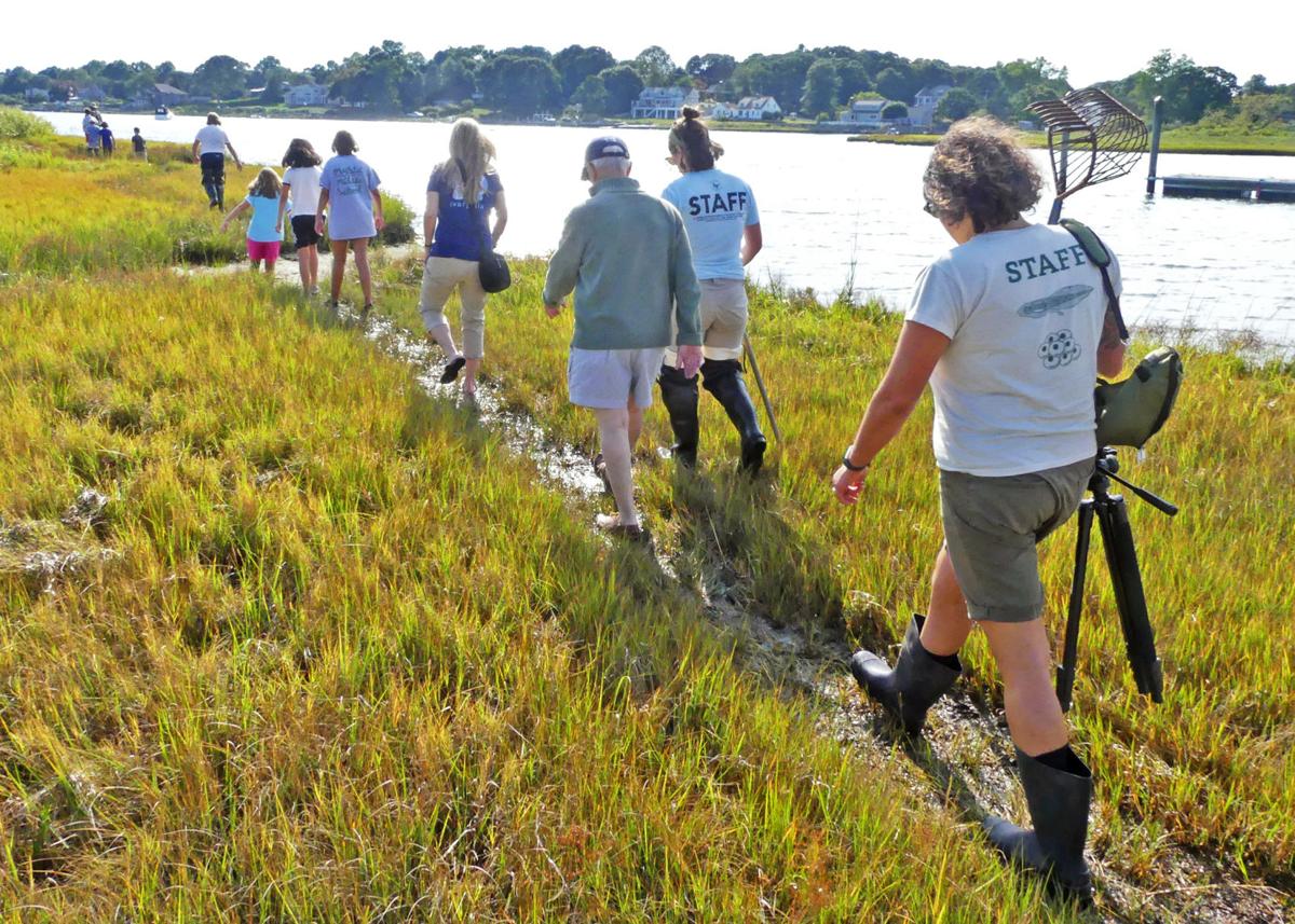 Students' Outdoor Club learns the basics of shellfishing | Stonington ...