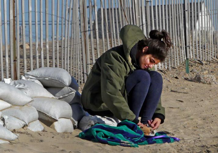 PHOTOS: This puppy looks chilly, but oh so cute | News | thewesterlysun.com