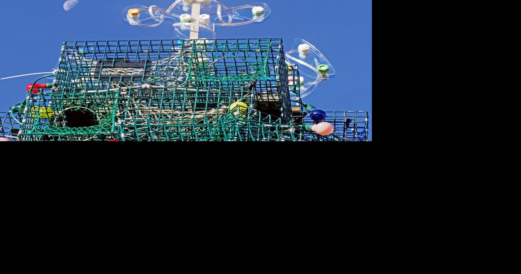 PHOTOS: Moon over Lobster Trap Tree | Stonington | thewesterlysun.com