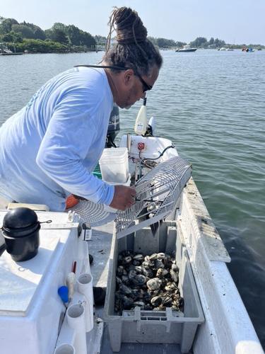 “Shell Shock: Conversations on Crustacean Sustainability in New England ...