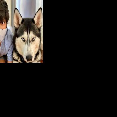 Face Mask contest winners | Front Porch News | thewesterlysun.com