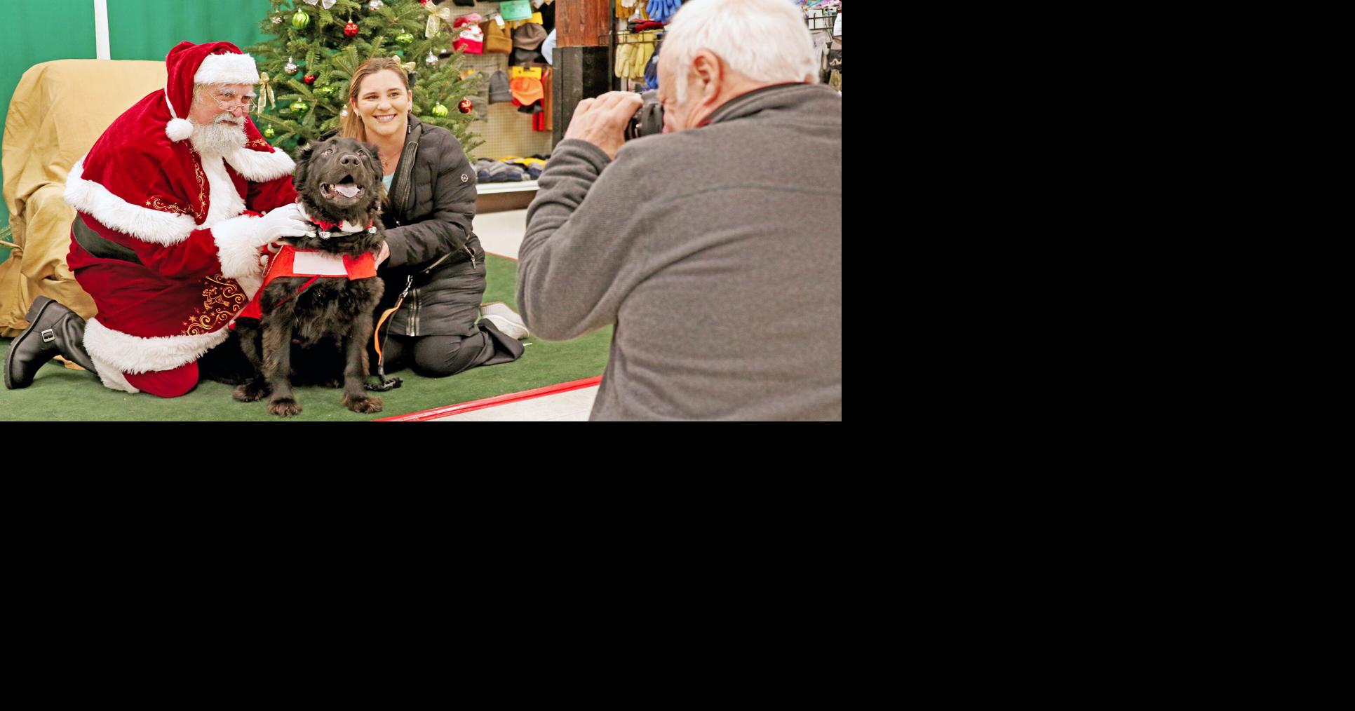 PHOTOS: Pets get a turn with Santa in Westerly | Westerly ...