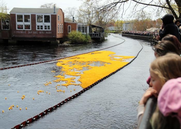 PHOTOS: 2024 Westerly-Pawcatuck Duck Race | Westerly | thewesterlysun.com