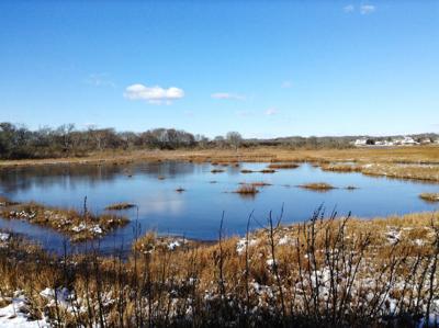 New salt-marsh maps predict sea-level rise | News | thewesterlysun.com