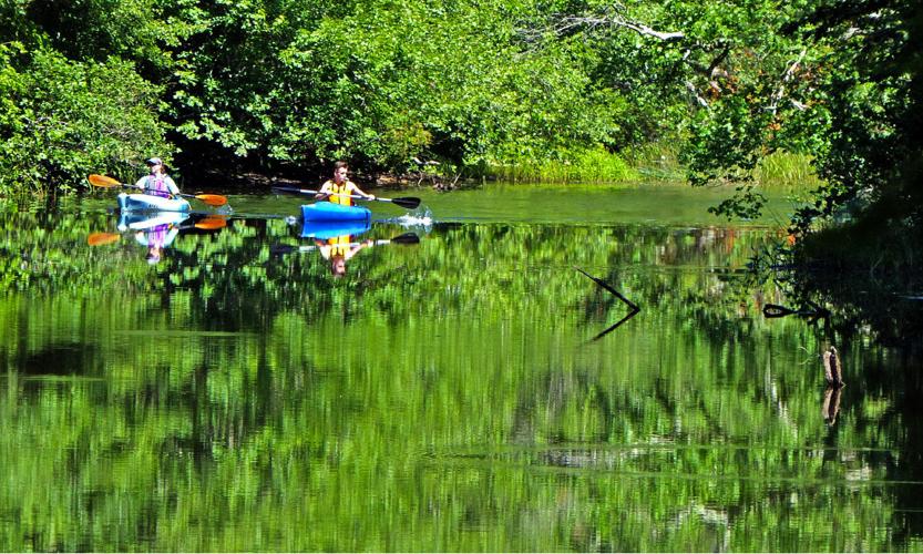 ‘Google of the watershed’ now open 7 days ‘Google of the watershed’ now ...