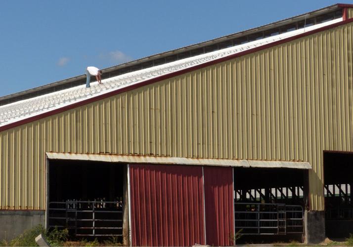 In front of the herd: Beriah Lewis Farm crowned state’s top dairy farm ...