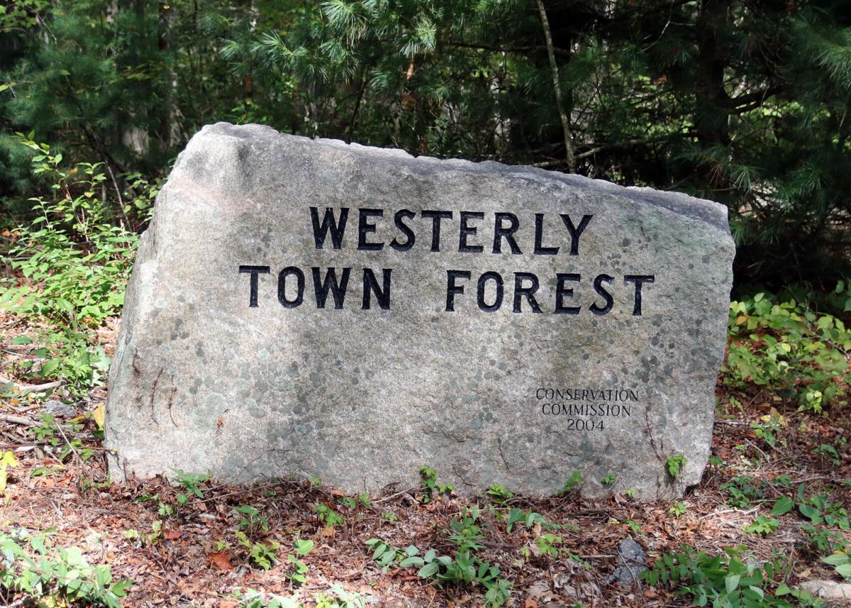 A picture of the entrance sign to the Westerly Town Forest as the ...