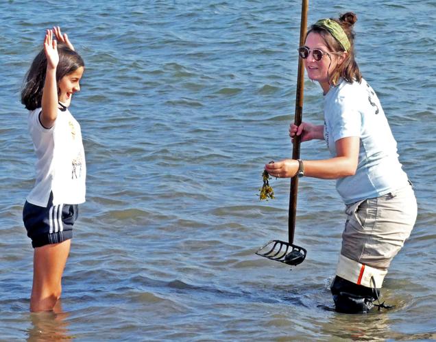 Students' Outdoor Club learns the basics of shellfishing | Stonington ...