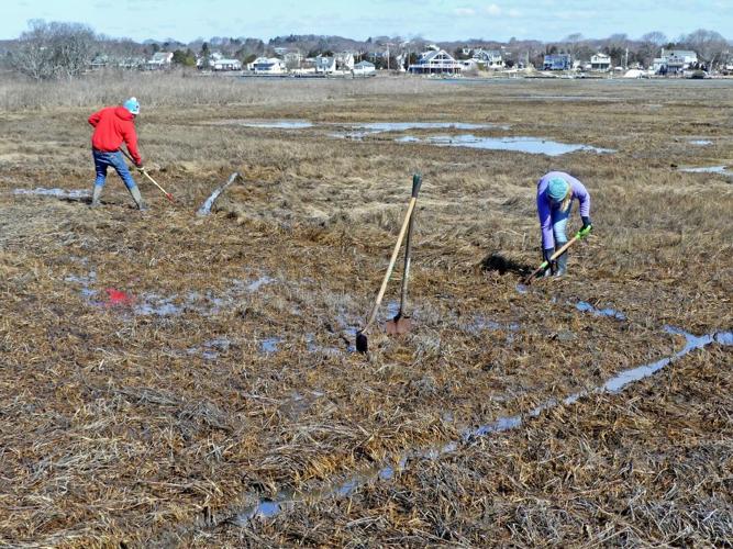 PHOTOS: Save the Bay workers clear marsh drainage channels in Westerly ...