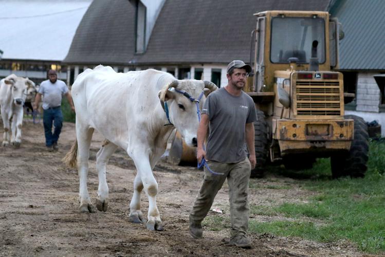 PHOTOS: Twilight at Beriah Lewis Farm | North Stonington ...