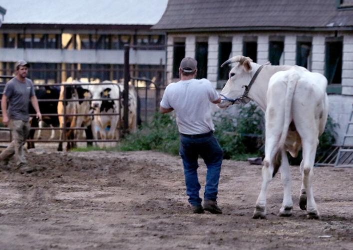 PHOTOS: Twilight at Beriah Lewis Farm | North Stonington ...