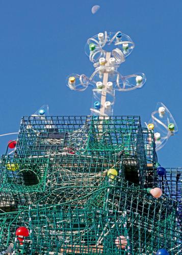 PHOTOS: Moon over Lobster Trap Tree | Stonington | thewesterlysun.com