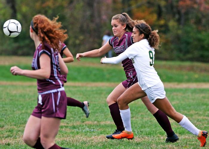 Girls soccer: Wheeler falls to Whalers on late goal | Latest Sports ...