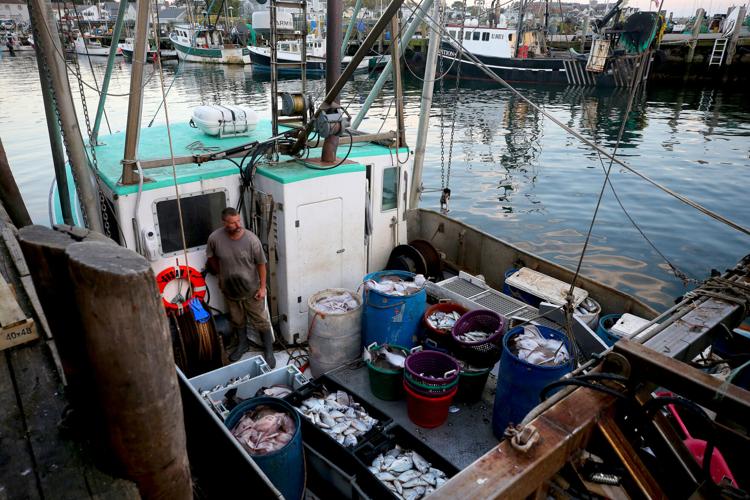 PHOTOS: Unloading the day's catch from the Susan C | Stonington ...