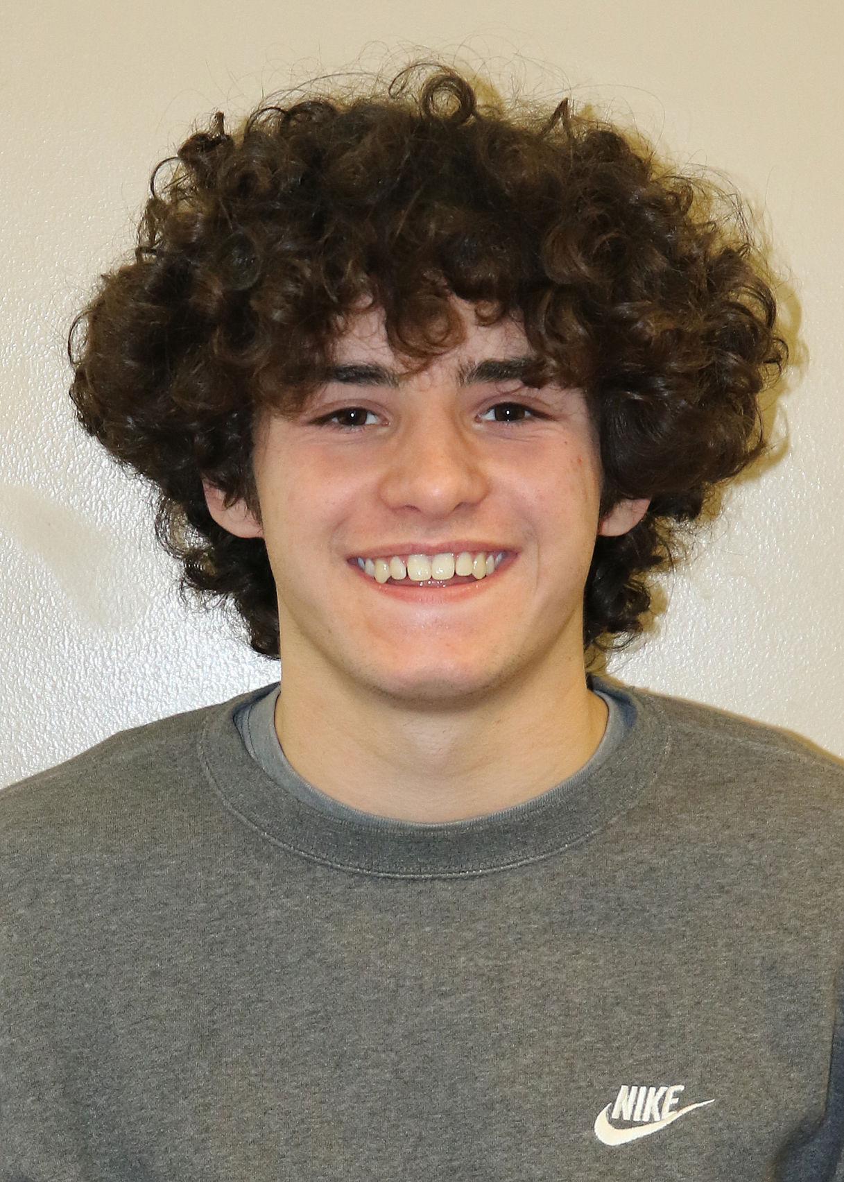 Boys cross country: Two Bulldogs All-Division, All-Class honors ...