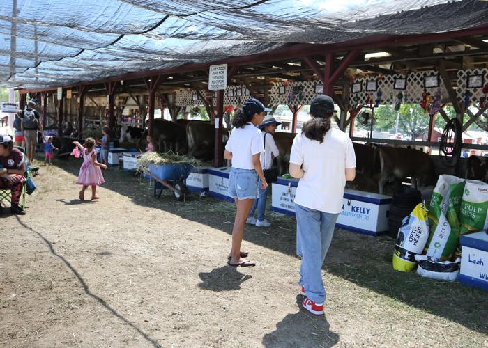 Washington County Fair delivers family fun for its 56th year | Richmond ...