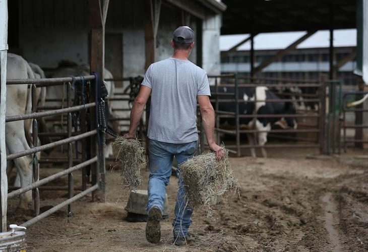 PHOTOS: Twilight at Beriah Lewis Farm | North Stonington ...