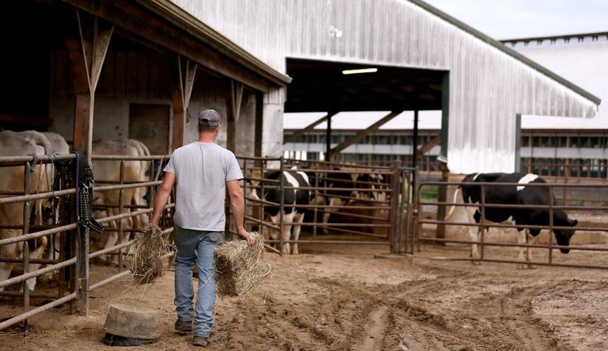 PHOTOS: Twilight at Beriah Lewis Farm | North Stonington ...