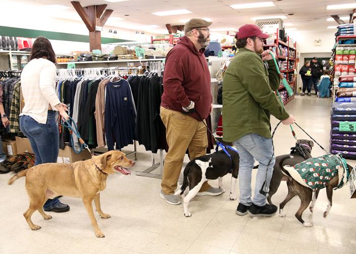 PHOTOS: 'Here Comes Santa Paws' photo event at the Westerly Agway ...