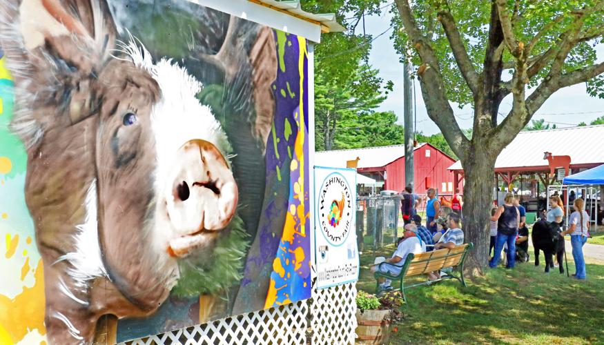 PHOTOS: Country fun is back at the Washington County Fair | Westerly ...