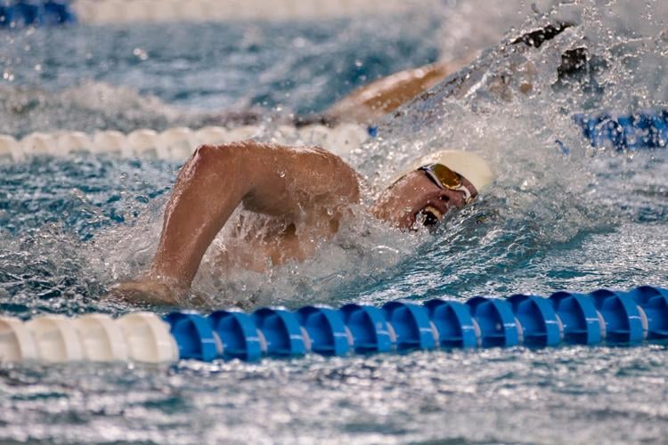 Boys swimming: Bulldogs capture Division II crown; Kenyon wins 500 ...