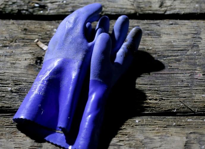 PHOTOS: Unloading the day's catch from the Susan C | Stonington ...