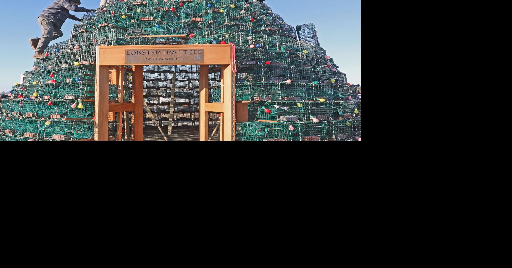 PHOTOS: Taking down the lobster trap tree | Stonington | thewesterlysun.com