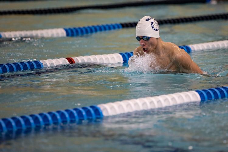 Boys swimming: Bulldogs capture Division II crown; Kenyon wins 500 ...
