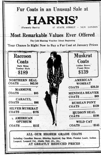 Swamp Yankee Stories: The beavers show up, get to work and transform ...