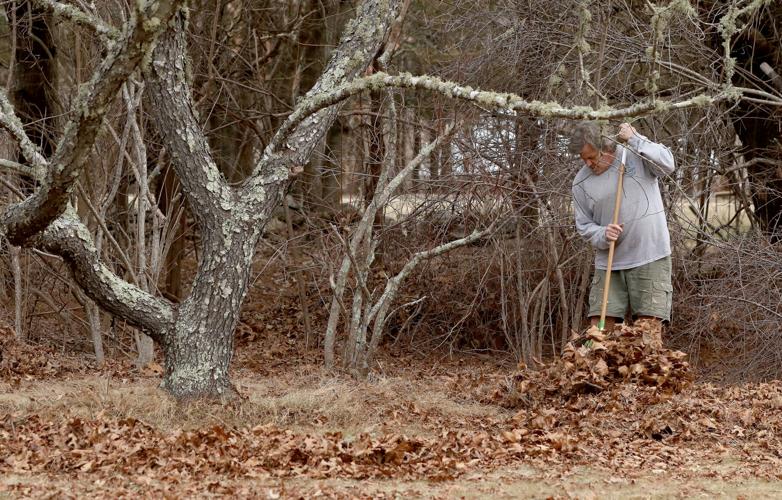 PHOTOS: Getting an early jump on spring yard cleaning | Charlestown ...