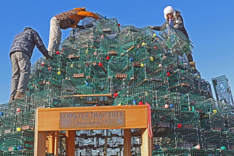 PHOTOS: Taking down the lobster trap tree | Stonington | thewesterlysun.com