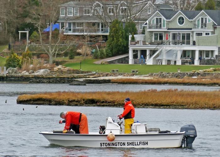 PHOTOS: Stocking oysters off Masons Island | Stonington ...