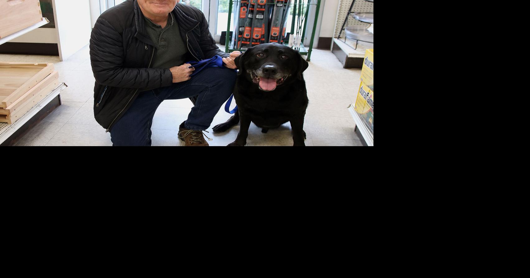 Joe Larkin and “Parker” (Labrador-age 11). Here Comes Santa Paws 2025 ...