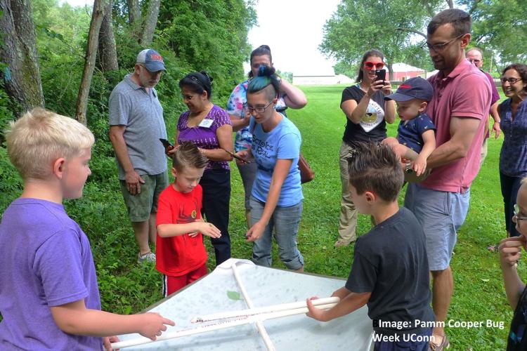 Earth Talk: UConn Bug Week programs this July | | thewesterlysun.com