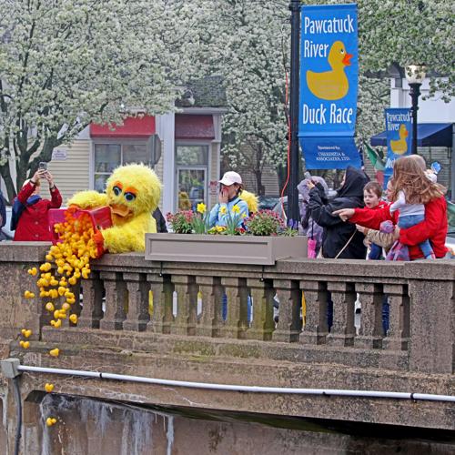 PHOTOS: 25th Annual Pawcatuck River Duck Race | Westerly ...