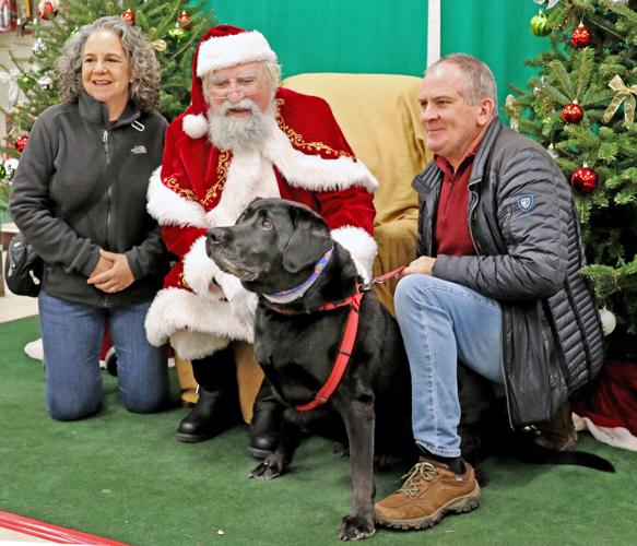 PHOTOS: Pets get a turn with Santa in Westerly | Westerly ...