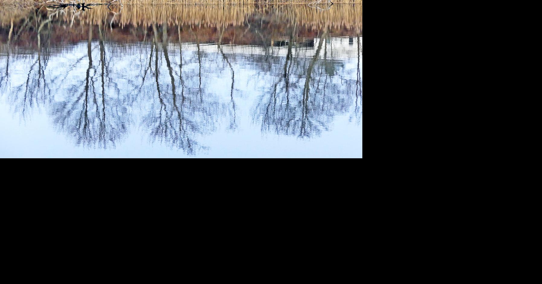 PHOTOS: Winter reflections along the Pawcatuck River | Stonington ...