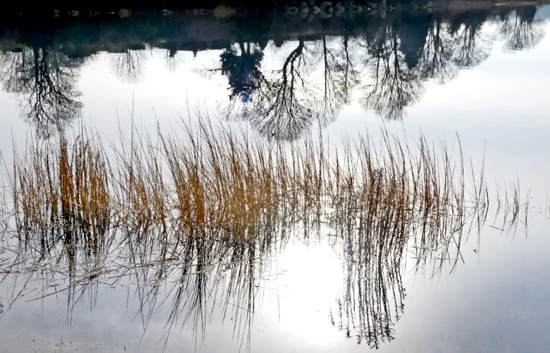 PHOTOS: Winter reflections along the Pawcatuck River | Stonington ...