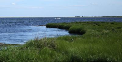 Barn Island will be part of Conn,'s controlled burns this spring ...