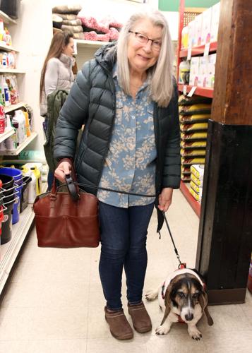 Out & About Agway Santa pet photos | Lifestyle | thewesterlysun.com