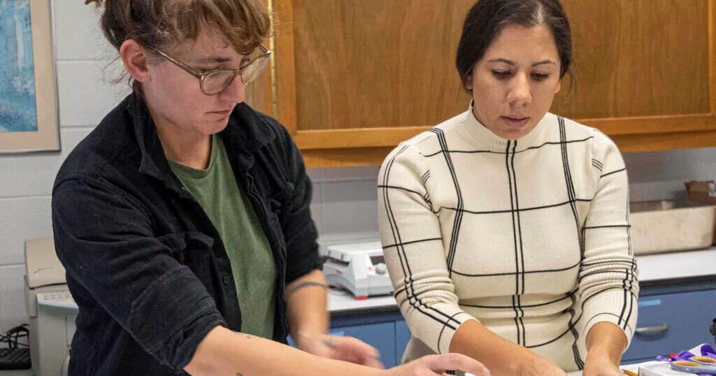 URI entomologist wins $2.6 million NIH grant to study evolution of Lyme ...