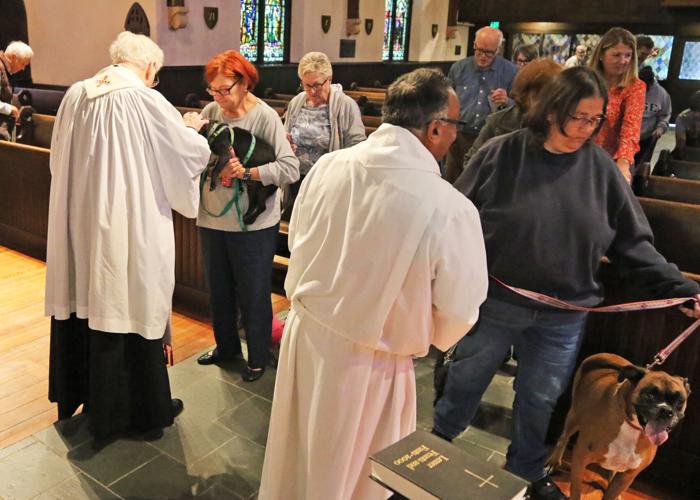 PHOTOS: The annual Blessing of the Animals | Daily-news-alerts ...