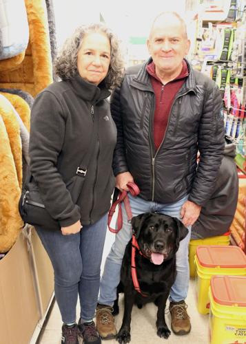 Out & About Agway Santa pet photos | Lifestyle | thewesterlysun.com