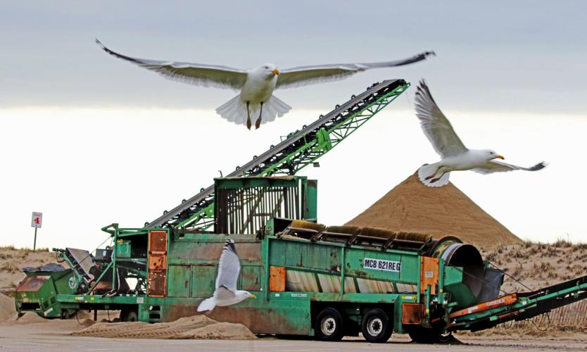 PHOTOS: Bringing back the beach | Westerly | thewesterlysun.com